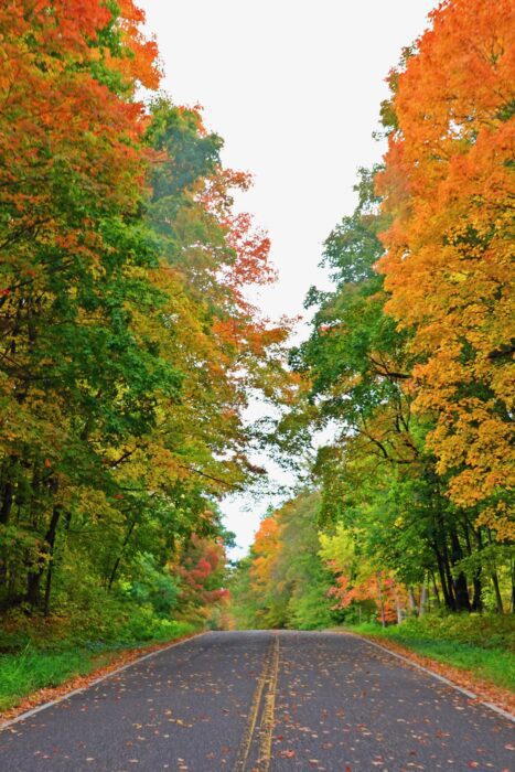 Discover the Best of Mille Lacs Lake: Our Guide to the Top 10 Must-Do ...