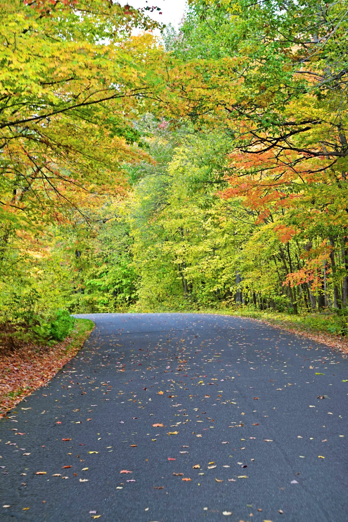 Discover the Best of Mille Lacs Lake: Our Guide to the Top 10 Must-Do ...