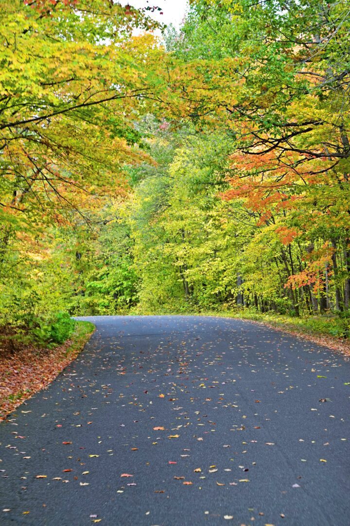 Discover the Best of Mille Lacs Lake: Our Guide to the Top 10 Must-Do ...