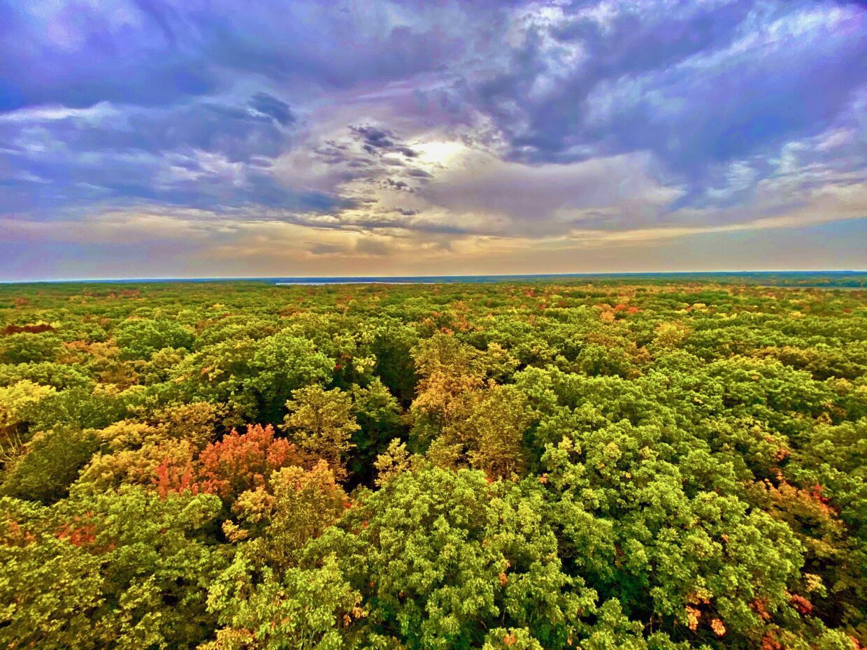Lake Mille Lacs Fall Colors: Your Guide to one of the Most Stunning ...