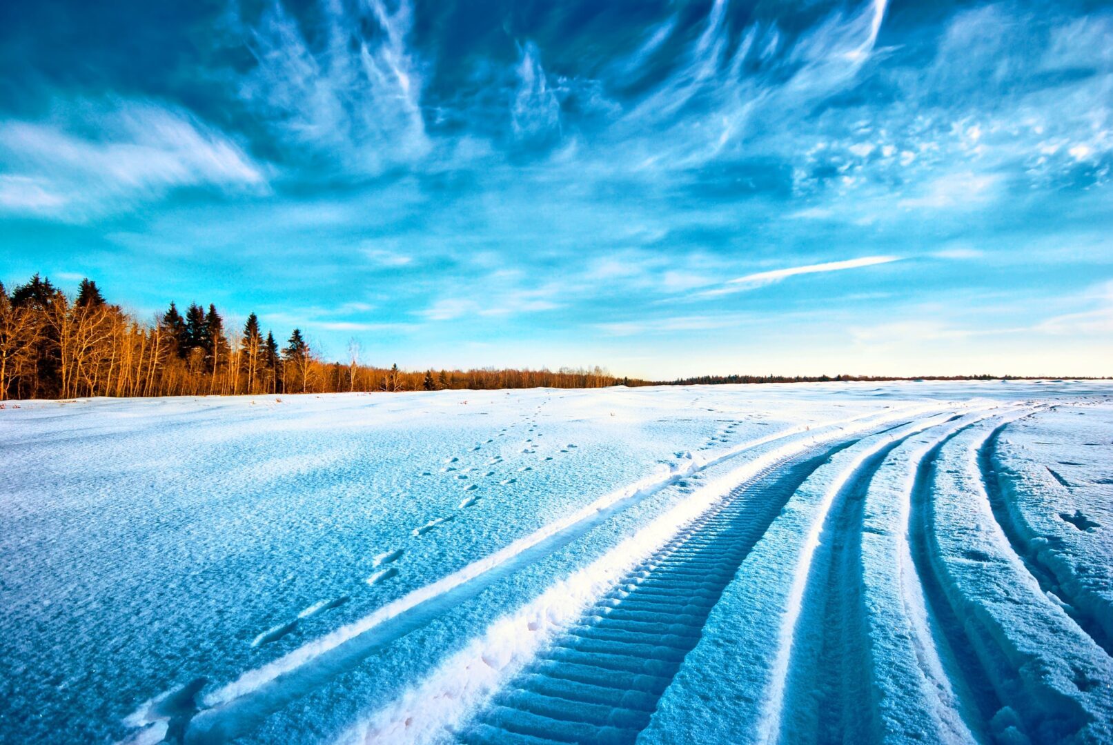 Winter Wonderland: Embrace the Chill in Mille Lacs Lake Area